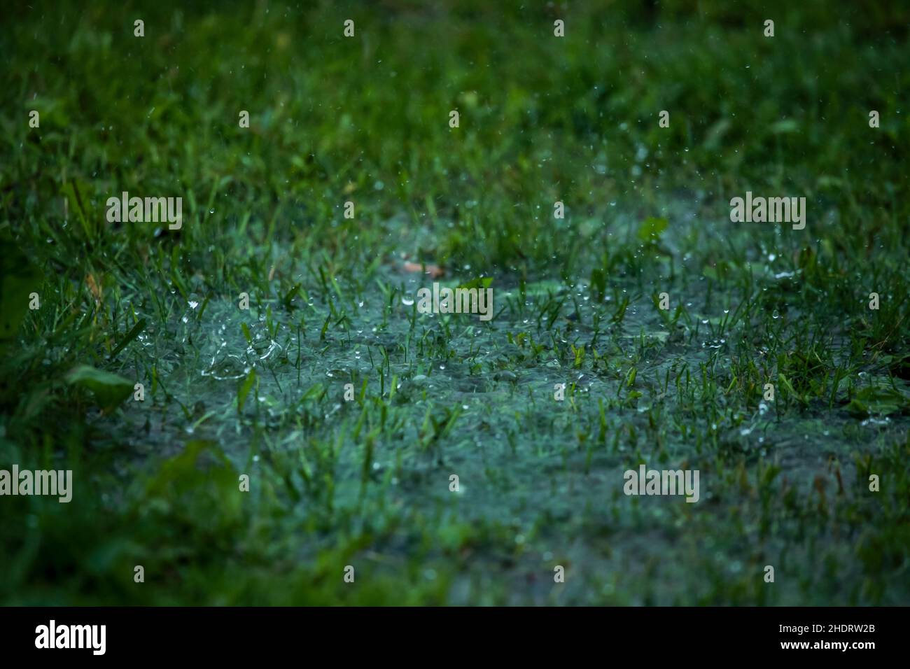 meadow, rain, flooded, meadows, raining, floodeds Stock Photo - Alamy