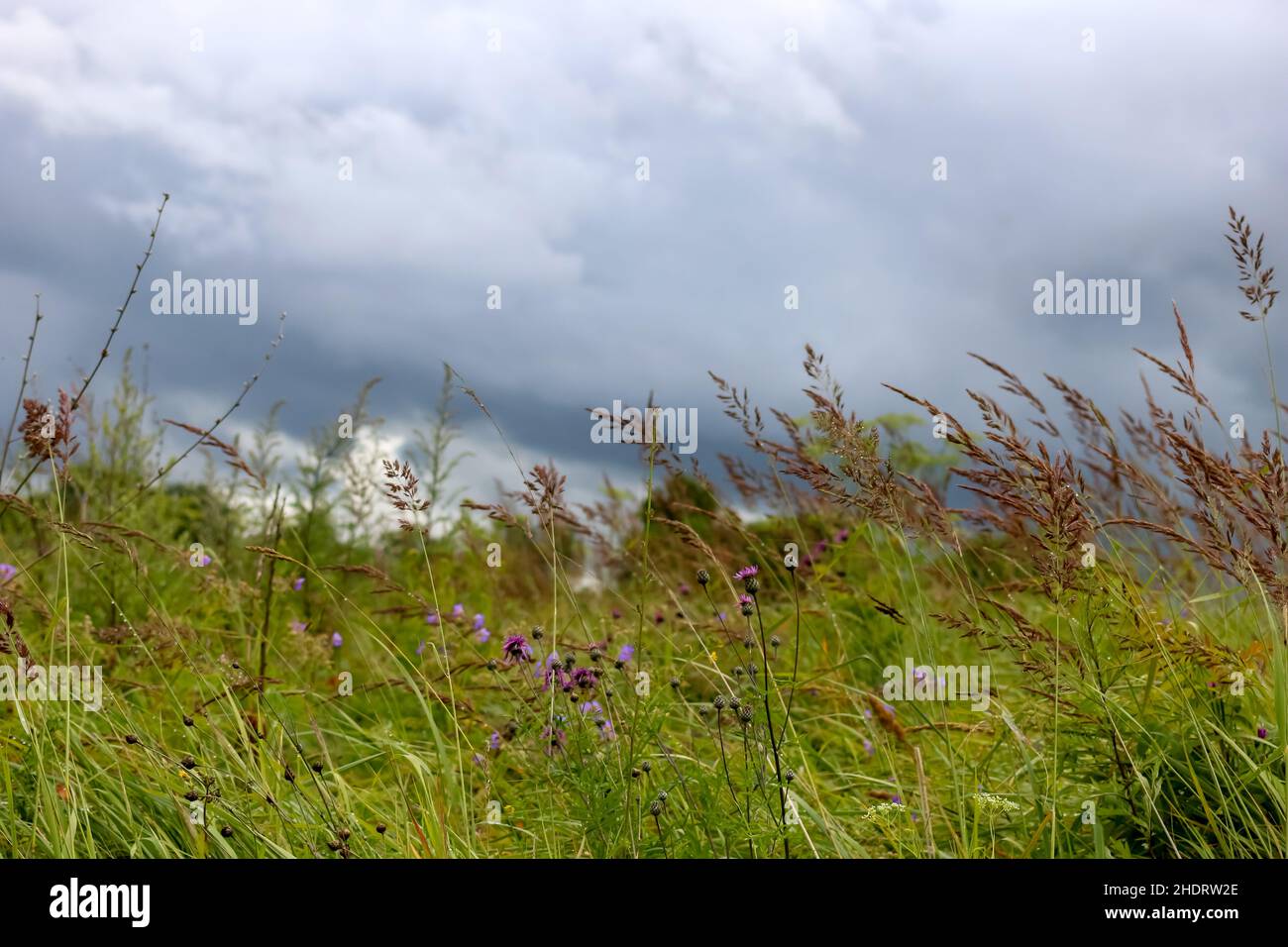 Overcasts hi-res stock photography and images - Alamy