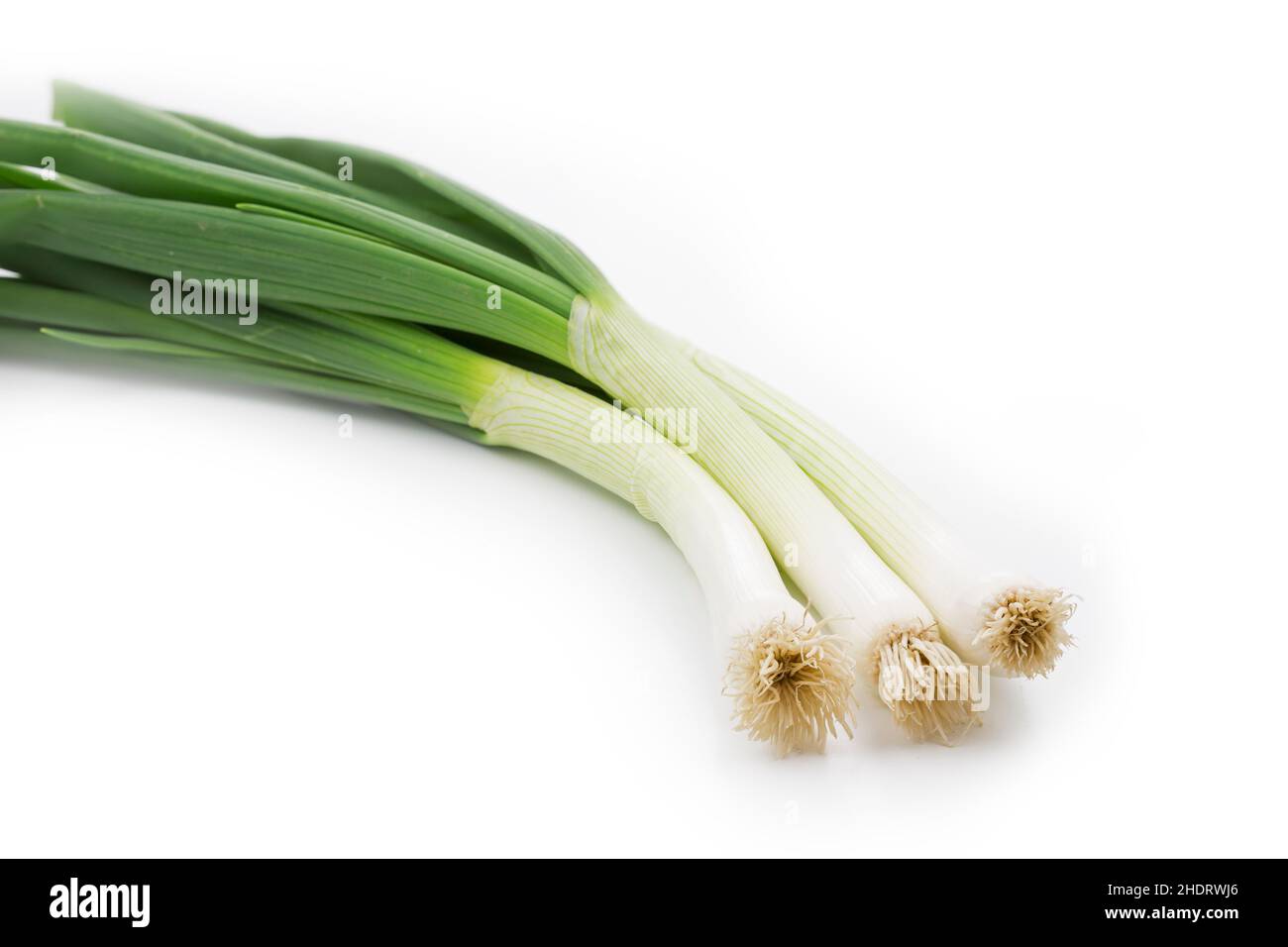 spring onion, spring onions Stock Photo - Alamy