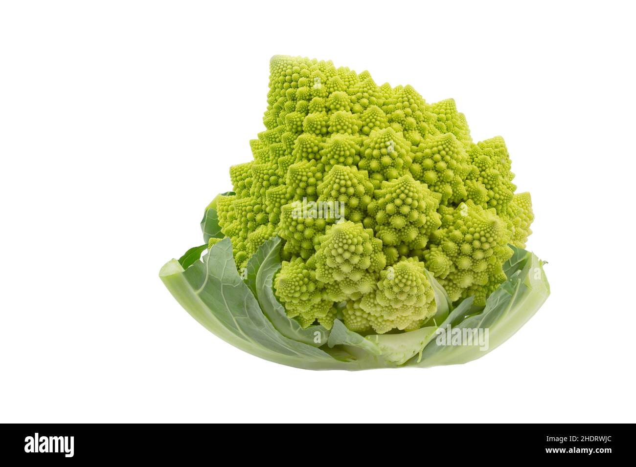 Romanescos hi-res stock photography and images - Alamy
