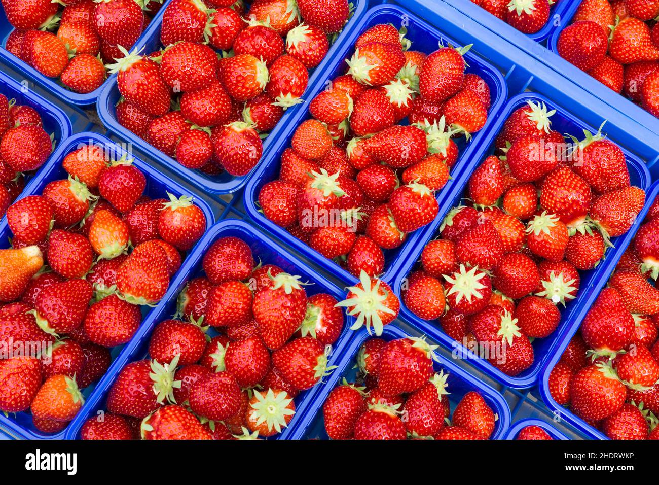 Red chest stands hi-res stock photography and images - Alamy