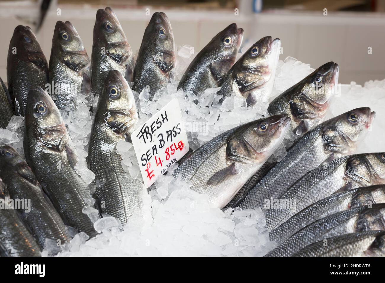 Moronidae hi-res stock photography and images - Alamy