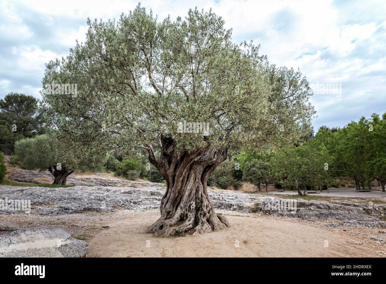 Older dryness hi-res stock photography and images - Alamy