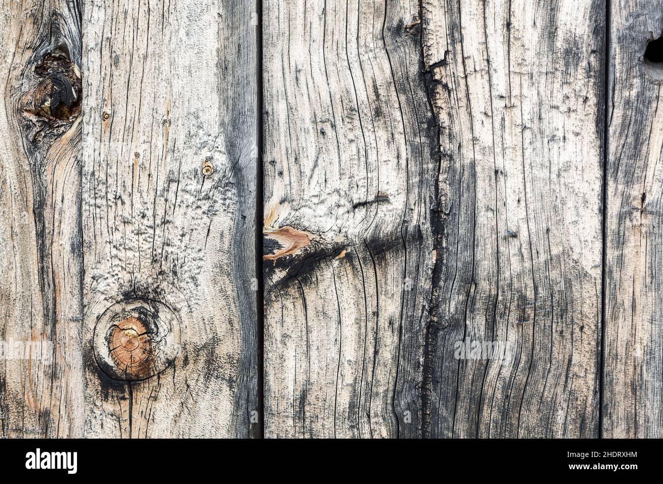 wood, weathered, wooden boards, woodland, woodlands, woods, weathereds ...