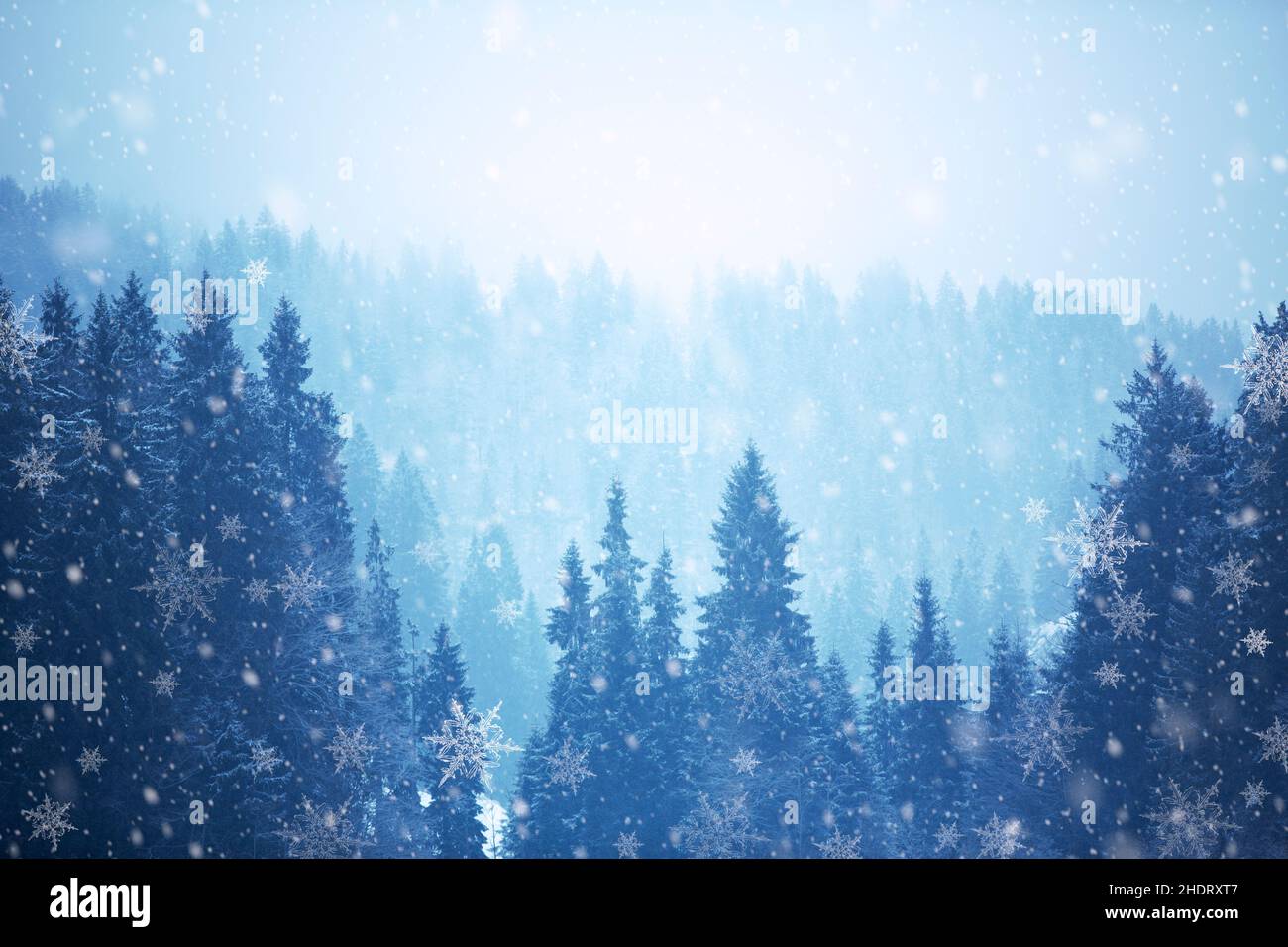 winter, ice crystals, snowflakes, fir trees, winters, ice crystal ...