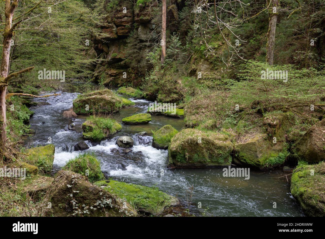 kamnitzklamm, Bohemian Switzerland Stock Photo - Alamy