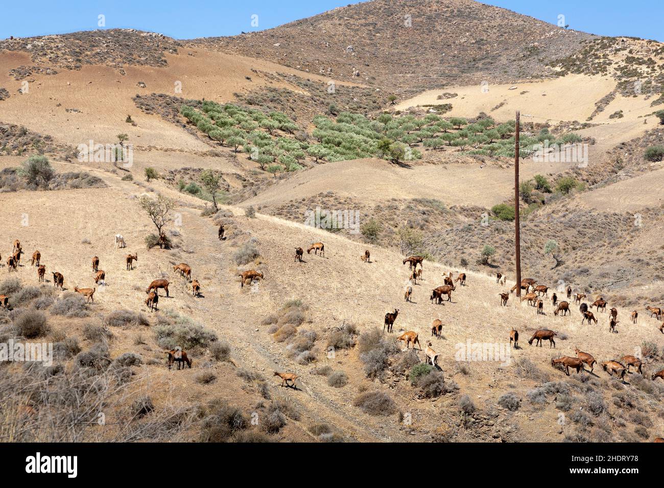 agriculture, crete, agricultures, cretes Stock Photo - Alamy