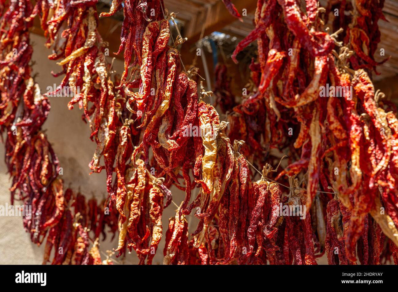 drying, chili peppers, dry, dryings, chili pepper Stock Photo - Alamy