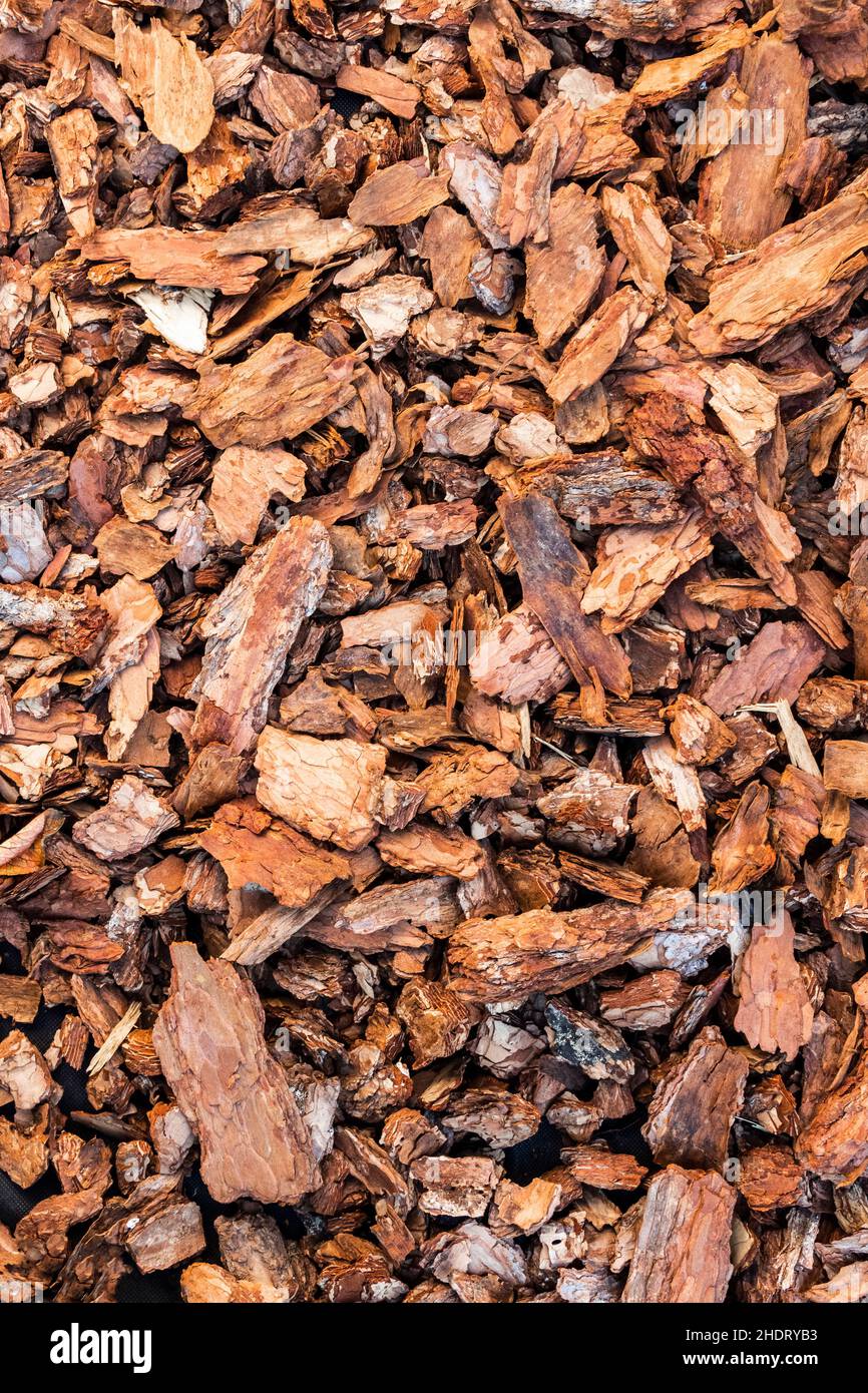 Chips of the bark of a tree close-up as a background Stock Photo - Alamy