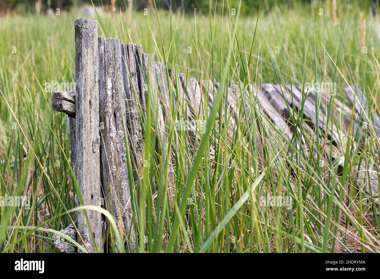 grass, wooden fence, wooden fences Stock Photo - Alamy