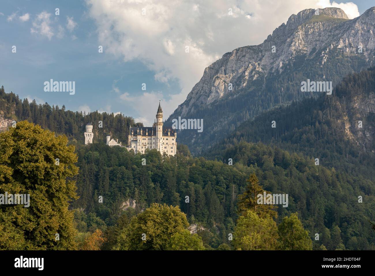 castle neuschwanstein, neuschwanstein castles Stock Photo - Alamy