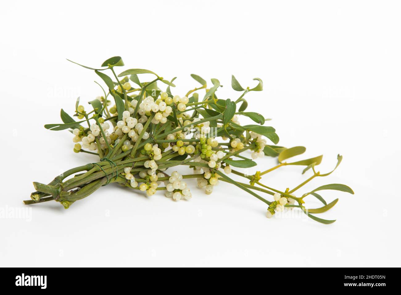 Mistletoes Cut Out Stock Images & Pictures - Alamy