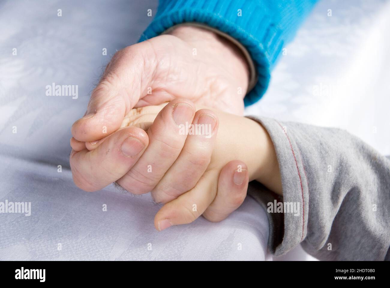 hand, hold, generation, baby hand, hands, holds, generations, baby ...