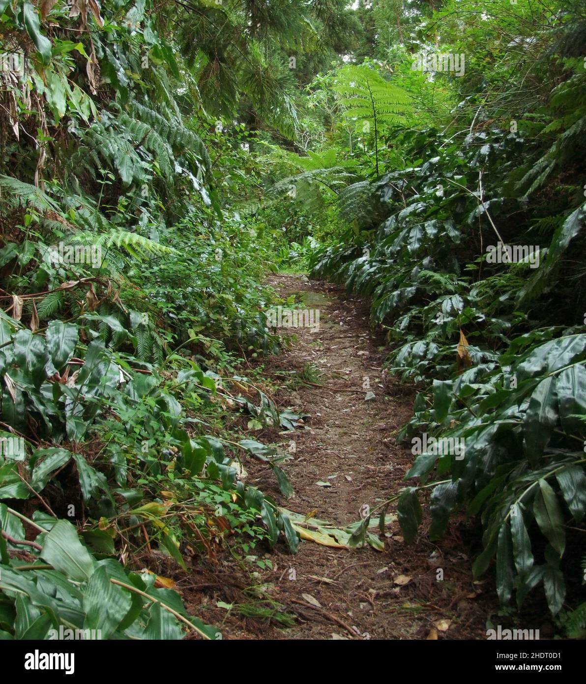 Road brush hi-res stock photography and images - Alamy