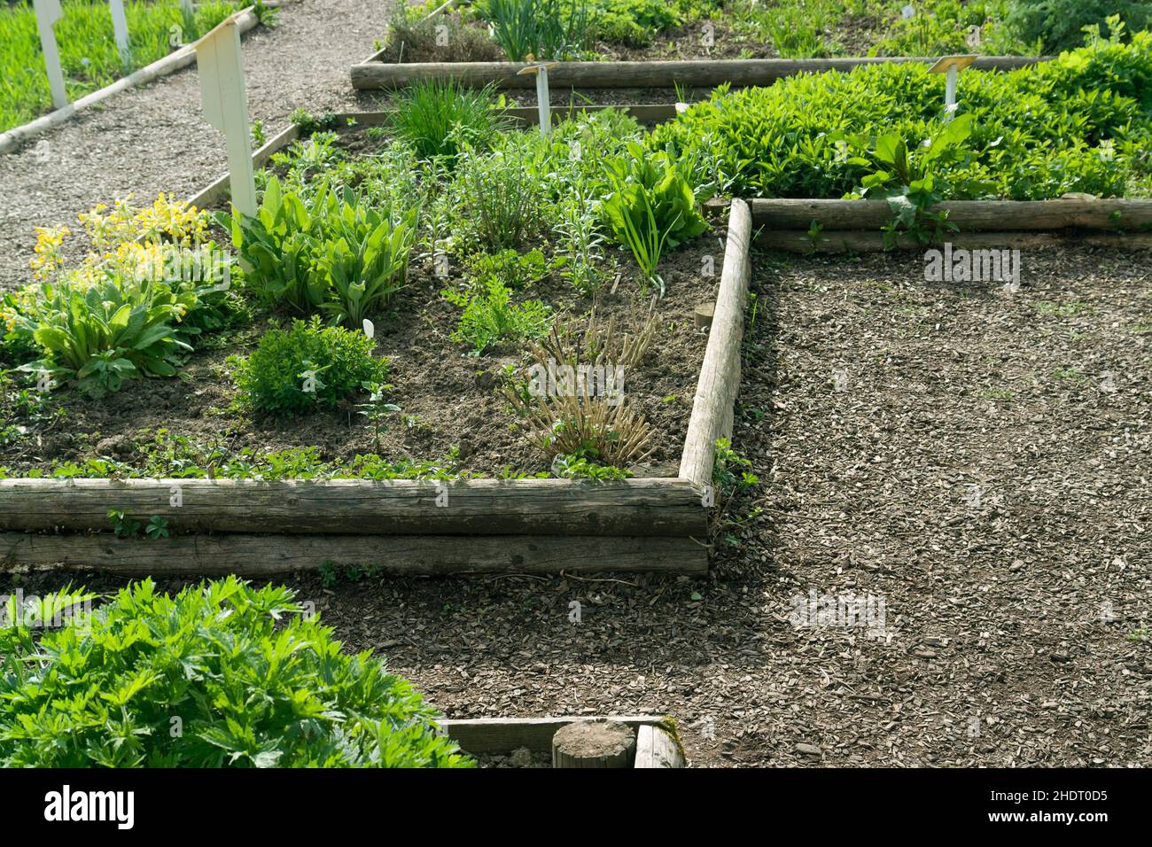 garden, seedbed, herb garden, gardens, seedbeds, herb gardens Stock ...