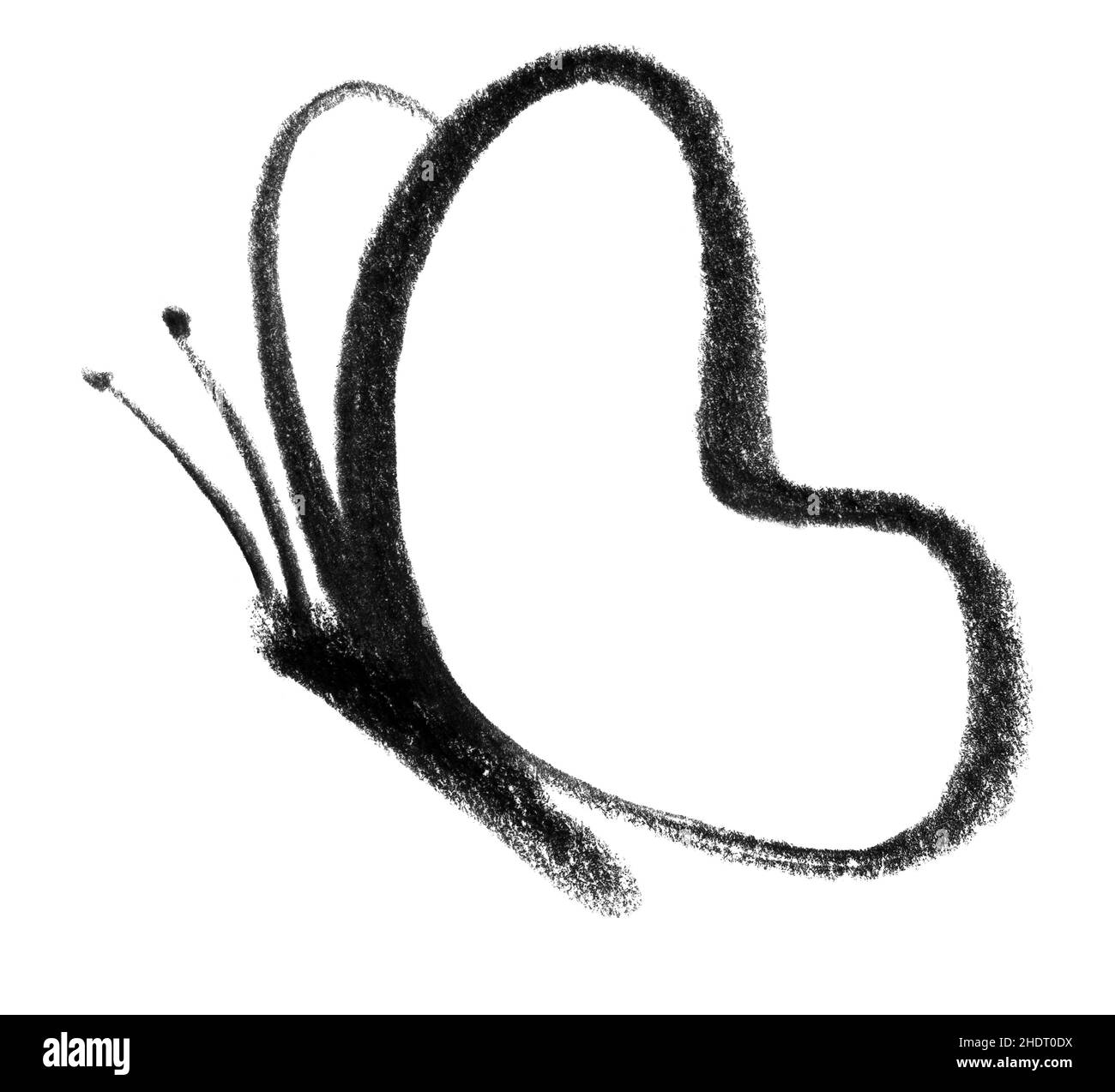 Black butterflies drawing hi-res stock photography and images - Alamy