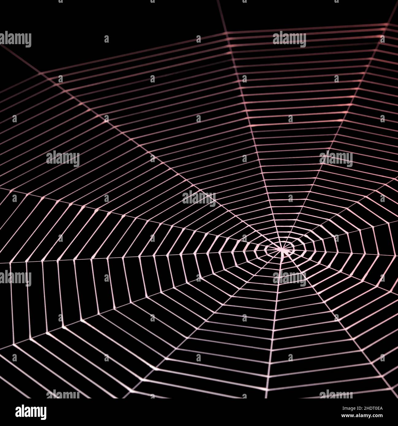 spider web, cobwebs, spider webs, cobweb Stock Photo - Alamy