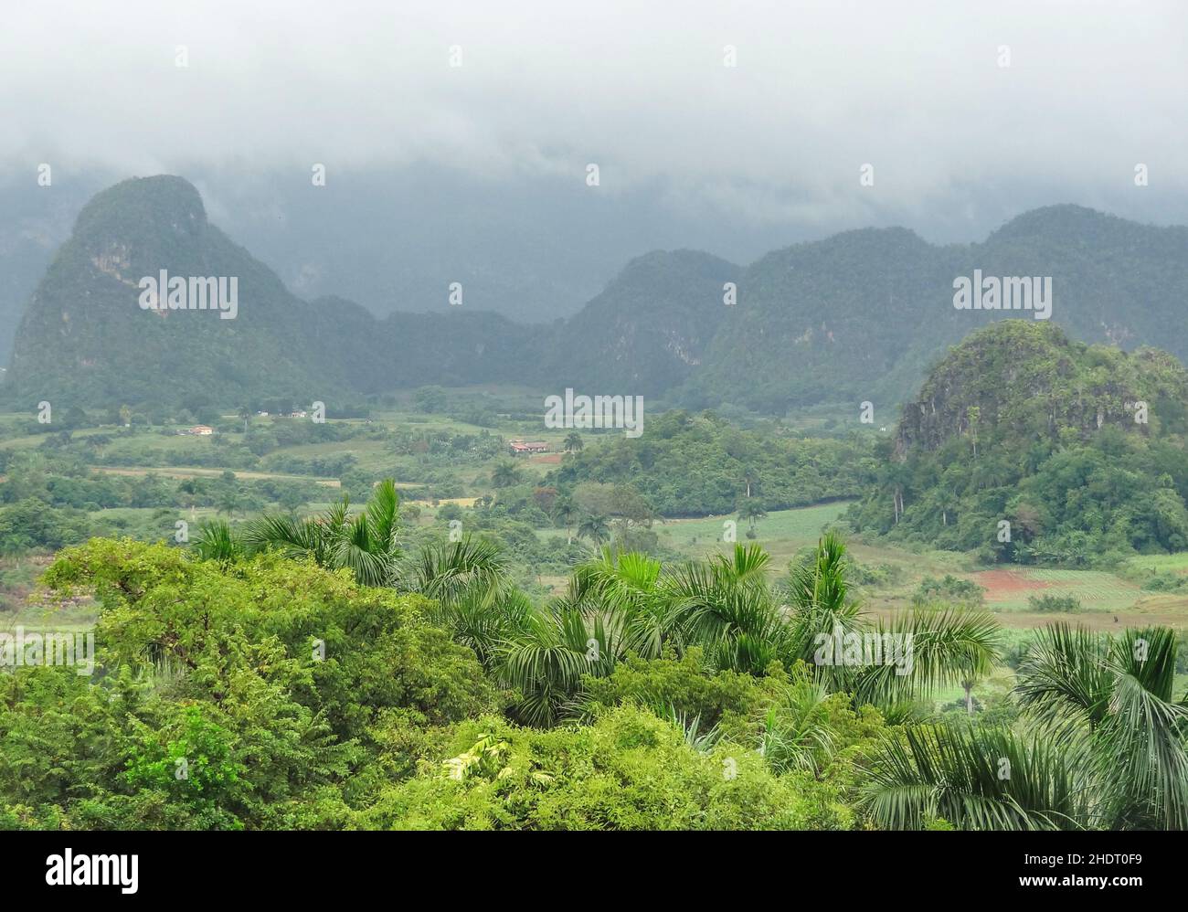 landscape, vinales, landscapes, rural, rural scene, scene, scenery ...