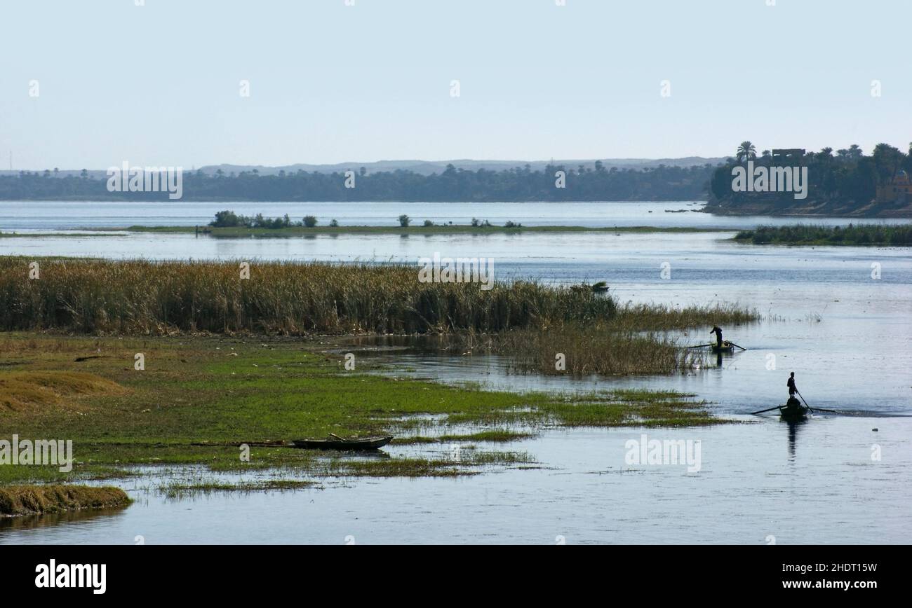 Nile reeds hi-res stock photography and images - Alamy