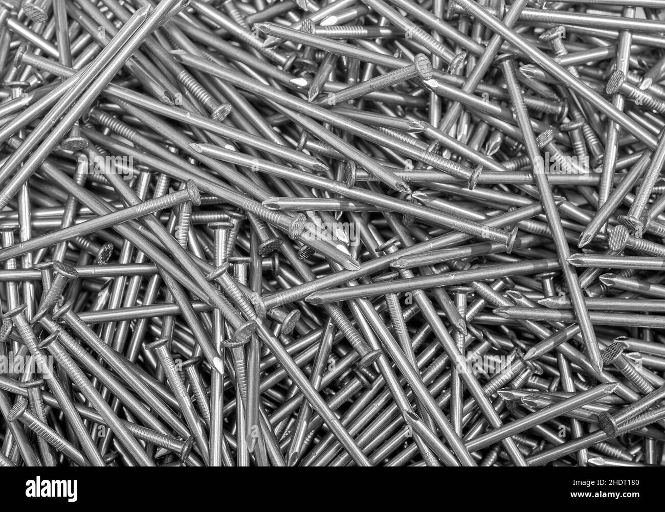 metal, nail, metals, homonym, nails Stock Photo - Alamy