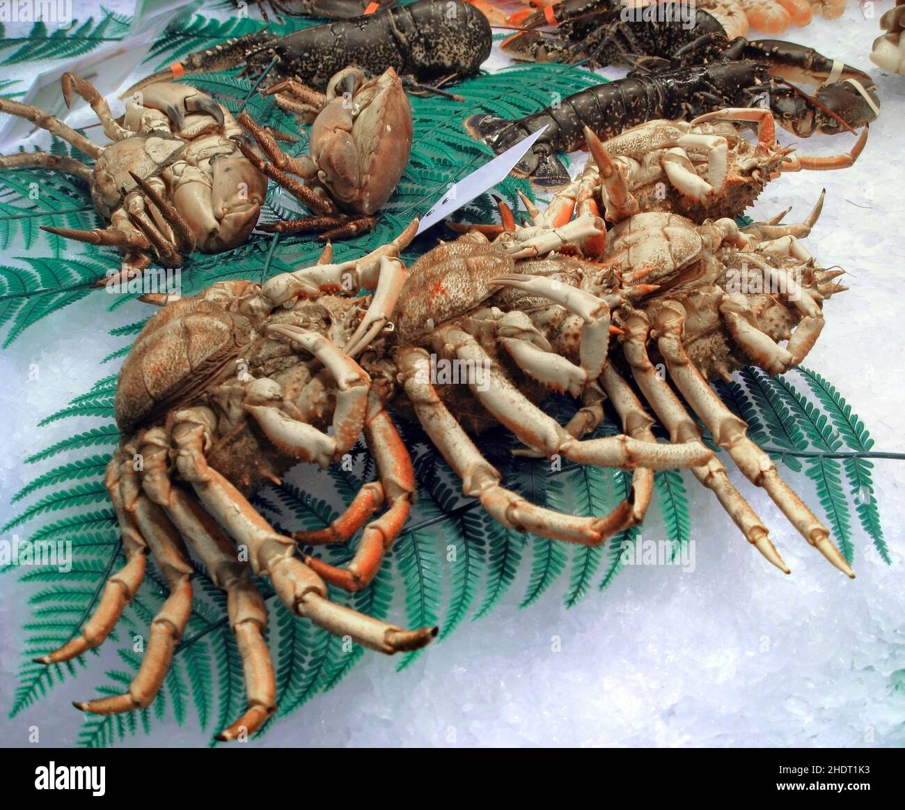 crab, seafood, crabs, seafoods Stock Photo - Alamy