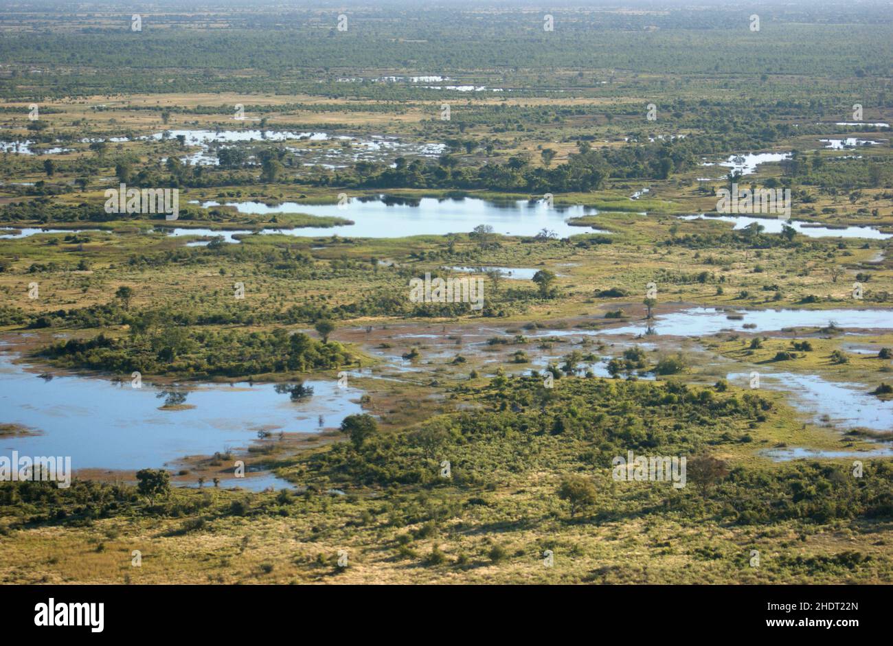 botswana, Okavango Delta, botswanas Stock Photo - Alamy