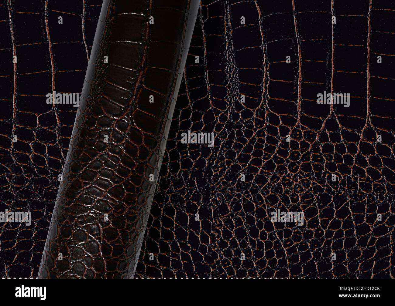 leather, animal scale, leathers, animal scales Stock Photo - Alamy