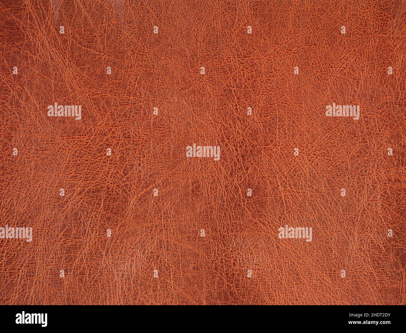 Leather textiles hi-res stock photography and images - Alamy