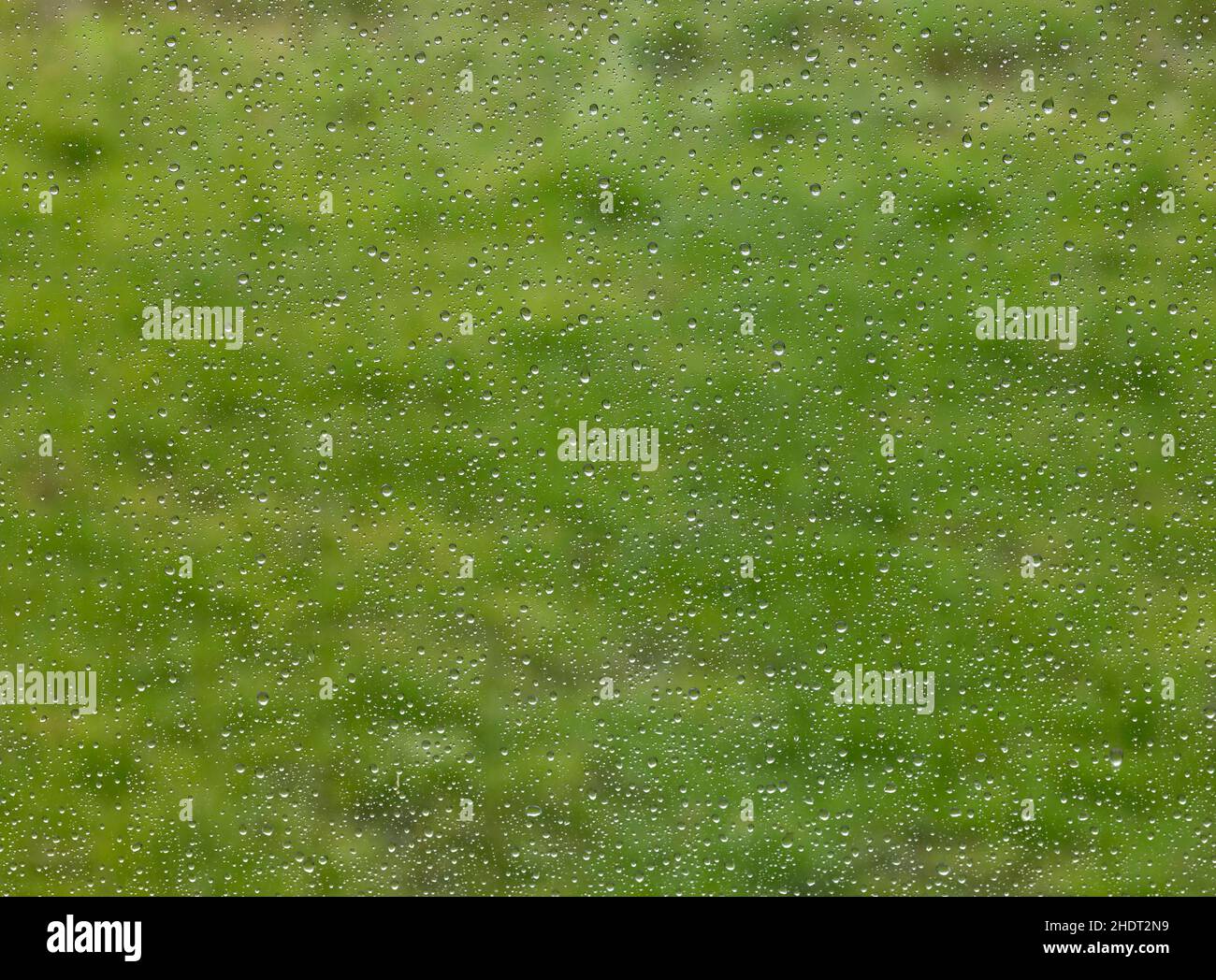 waterdrop, raindrop, drop of water, water drop, waterdrops, raindrops ...