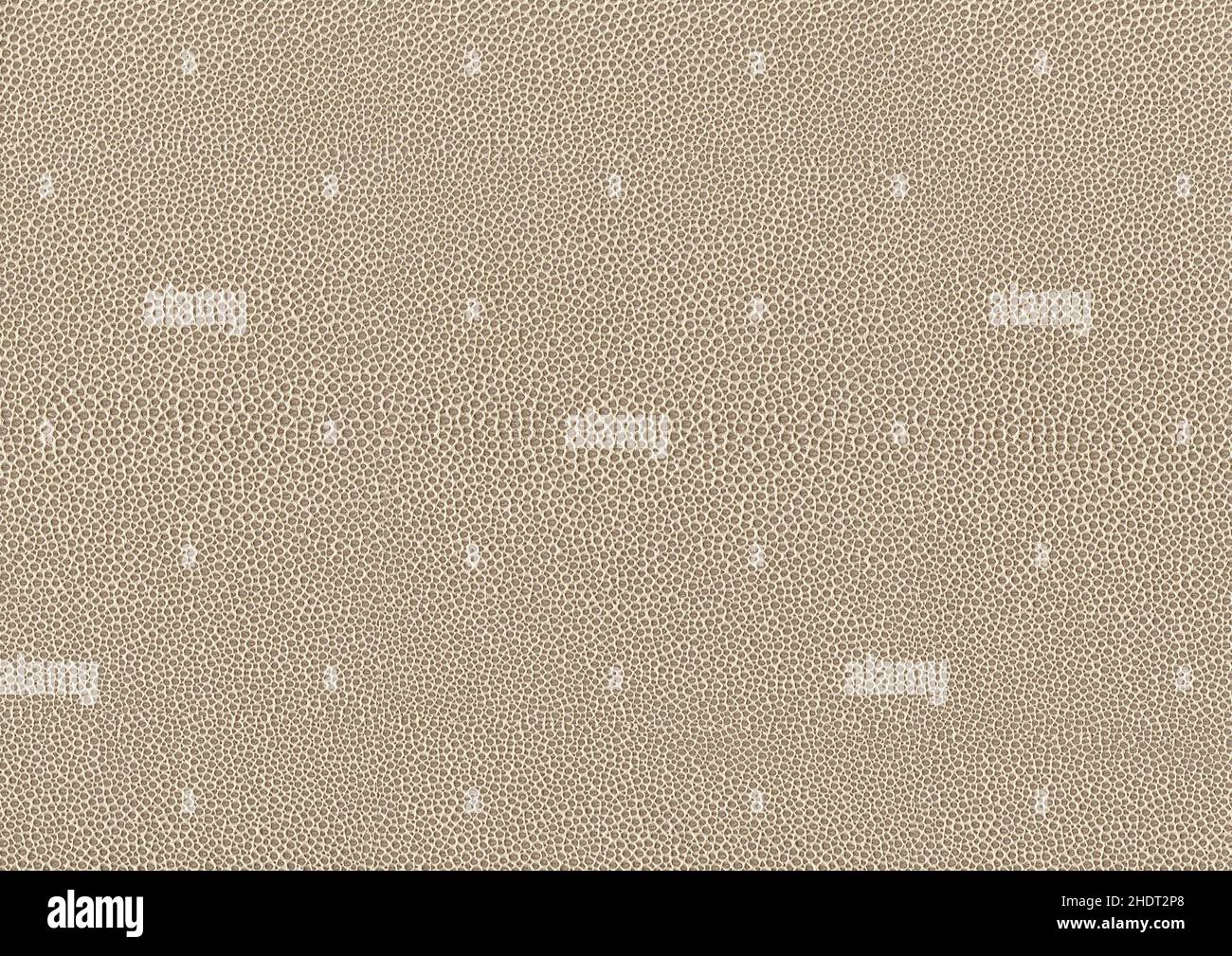 tissue, holey, perforated, tissues, holeys, perforateds Stock Photo - Alamy