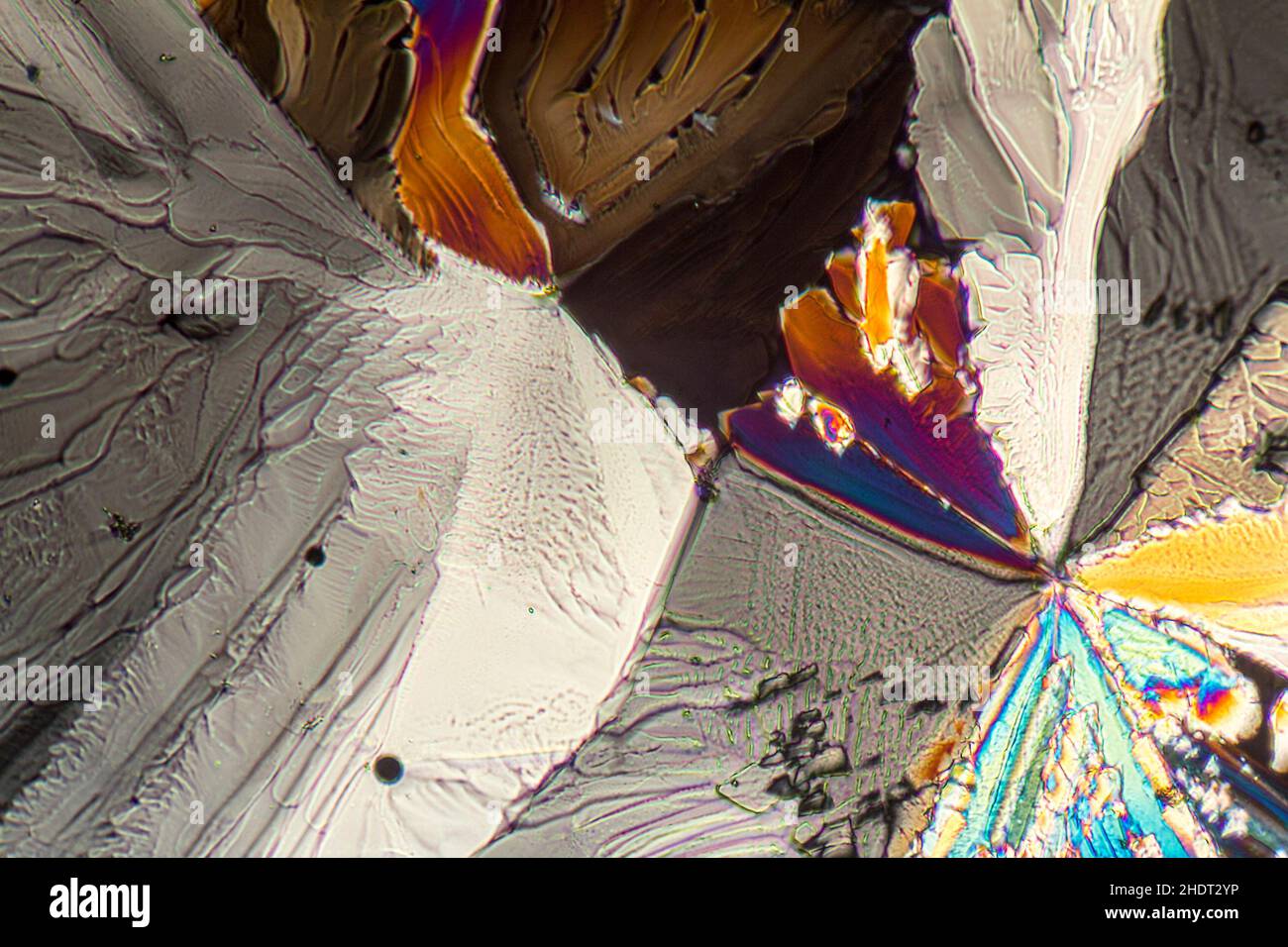 liqueur, microscopic, liqueurs Stock Photo - Alamy