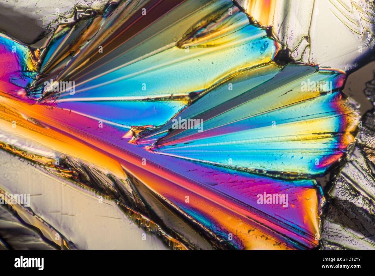 microscopic, sugar crisals Stock Photo - Alamy