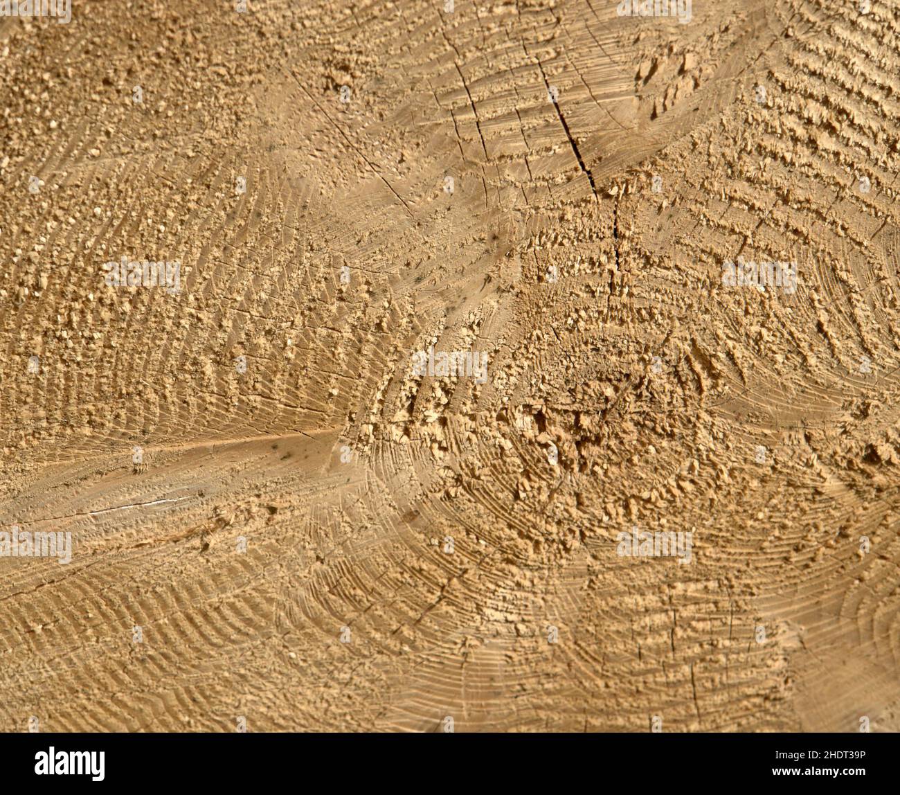 wood, structure, woodland, woodlands, woods, structures Stock Photo - Alamy