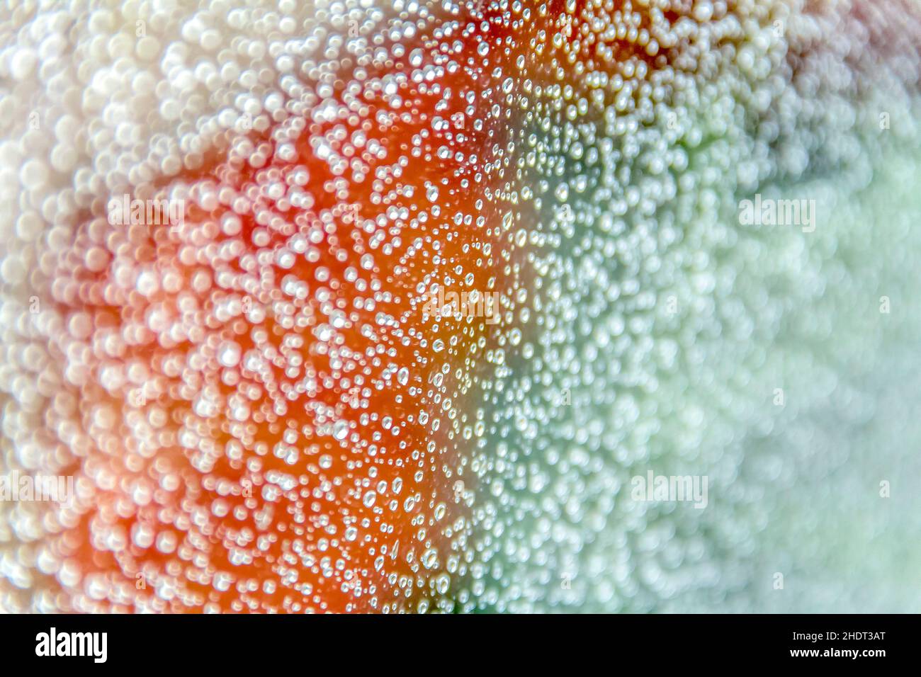 raindrop, transparent, raindrops, transparents Stock Photo - Alamy