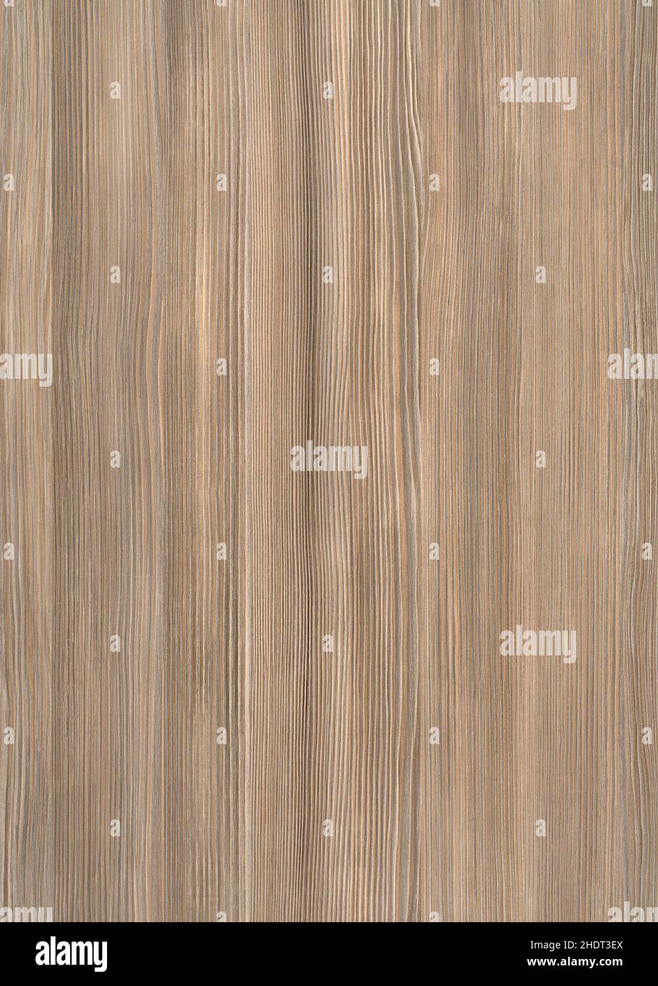backgrounds, wood, structure, background, woodland, woodlands, woods ...