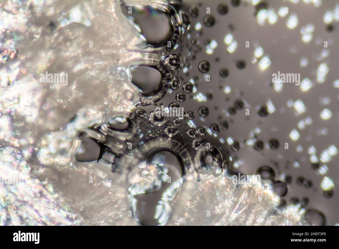 blister, vesicles, water blister, blisters, water blisters Stock Photo ...