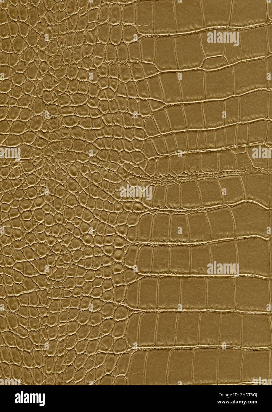 Snakeskin Patterns High Resolution Stock Photography and Images - Alamy