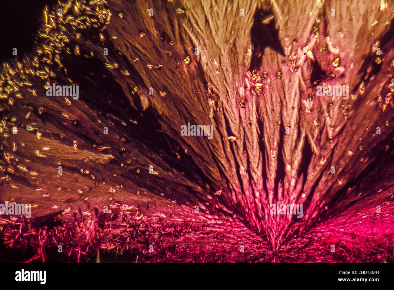 science, pattern, crystal, microscope, microscopy, microscopic ...