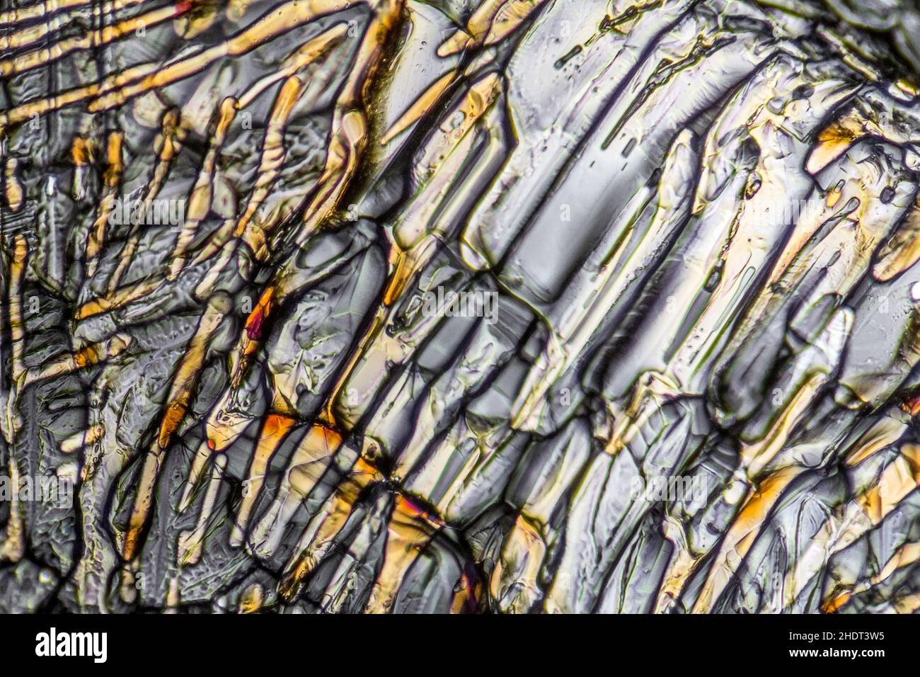 Microscopic shapes hi-res stock photography and images - Alamy