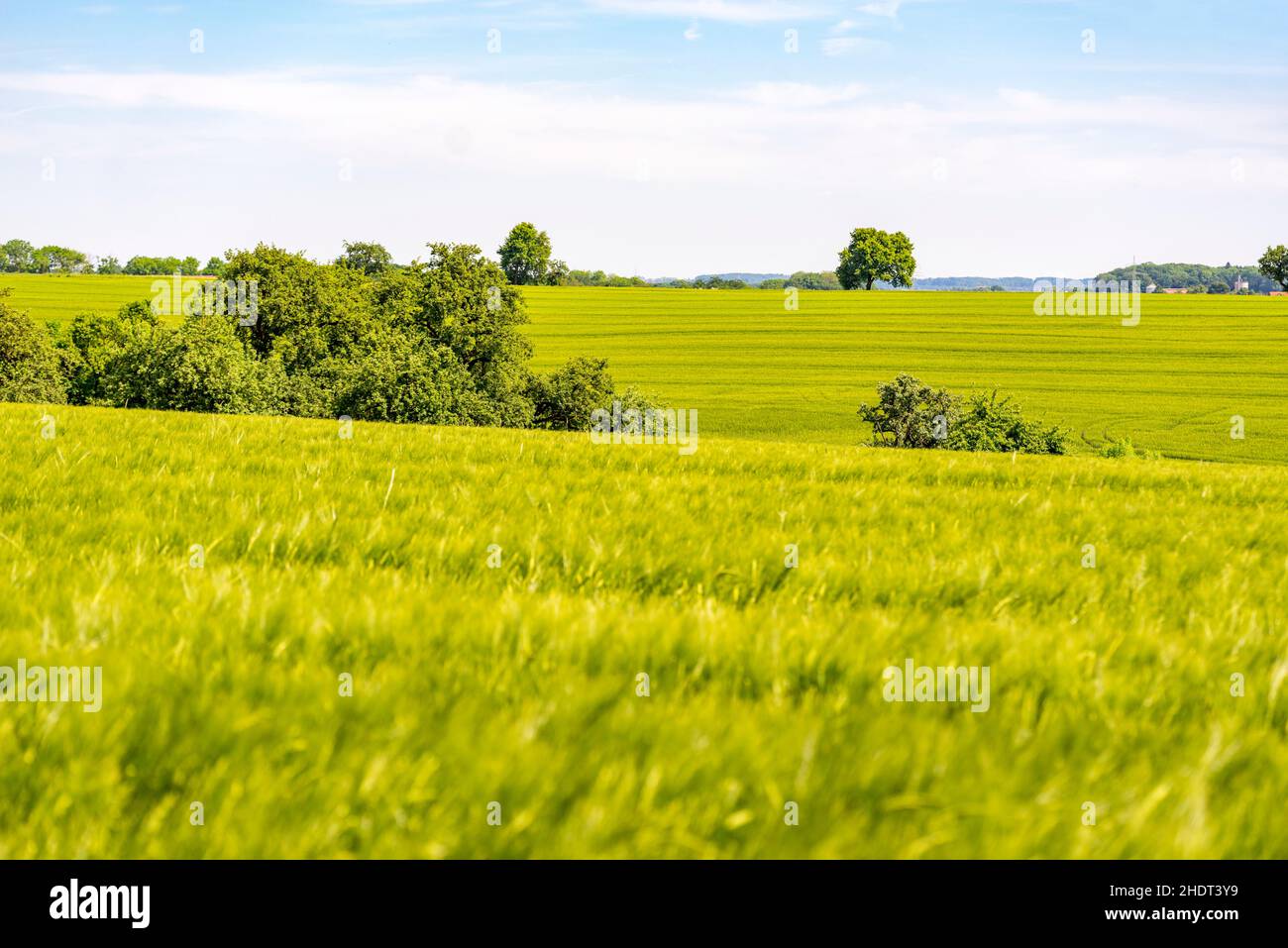 field, spring, fields Stock Photo - Alamy