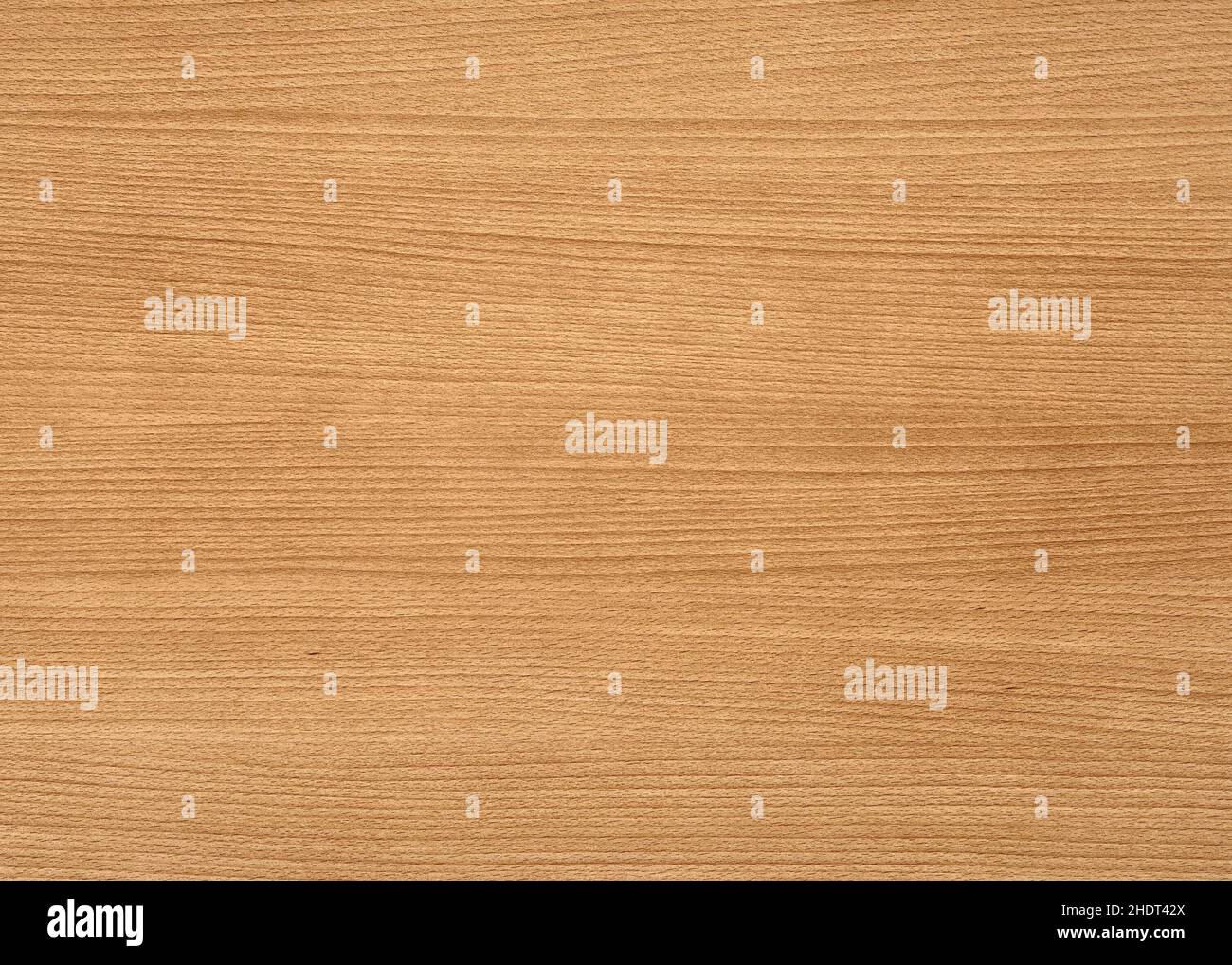 structure, lines, wood area, structures, line, woodland, woodlands ...