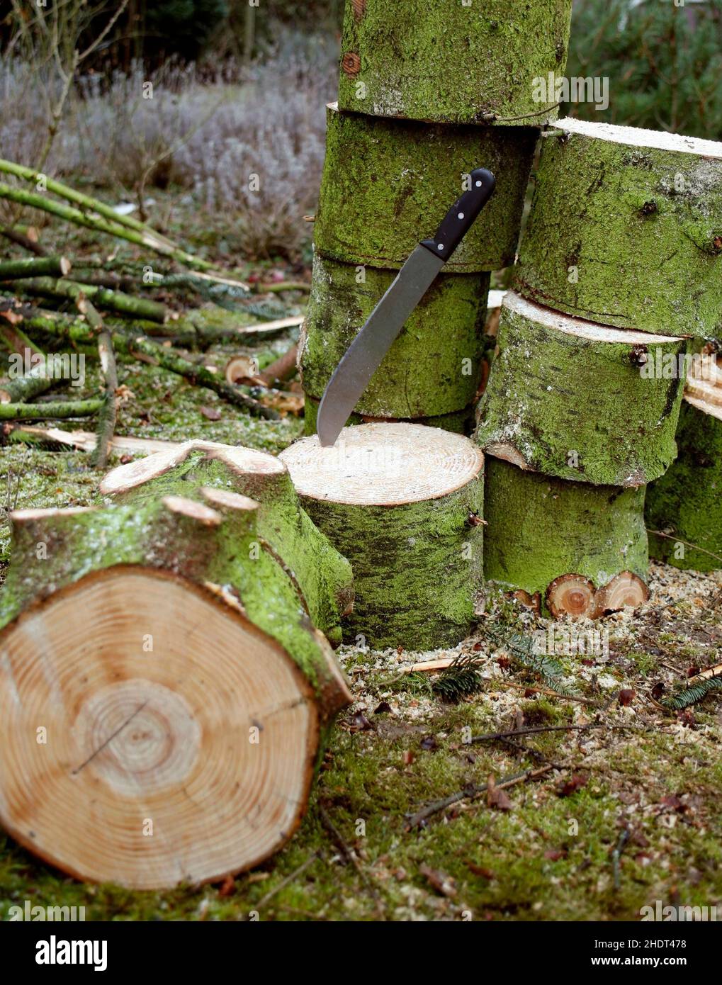 tree trunk, machete, trunks, machetes Stock Photo - Alamy