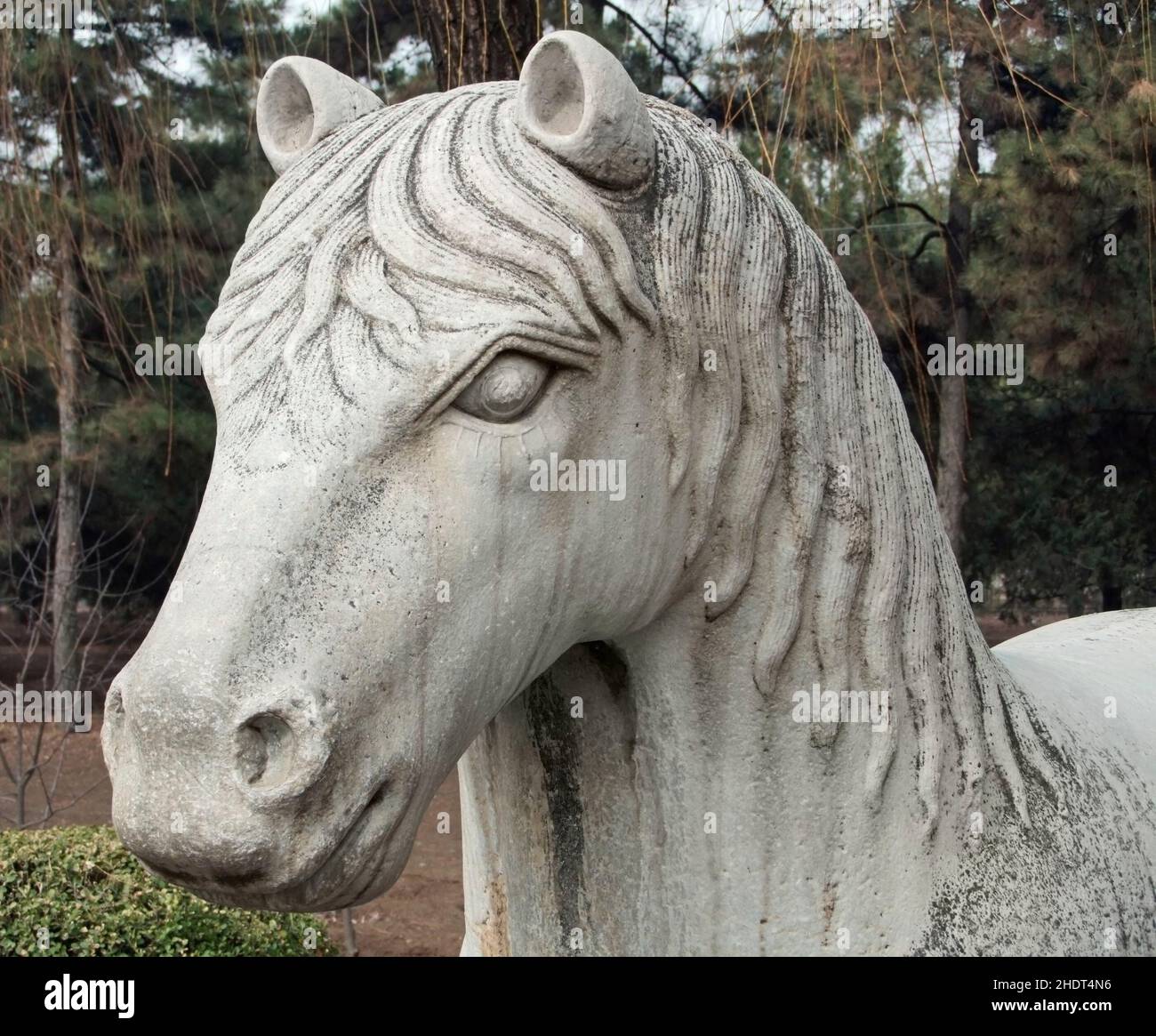 Ancient sculpture of horses hi-res stock photography and images - Alamy