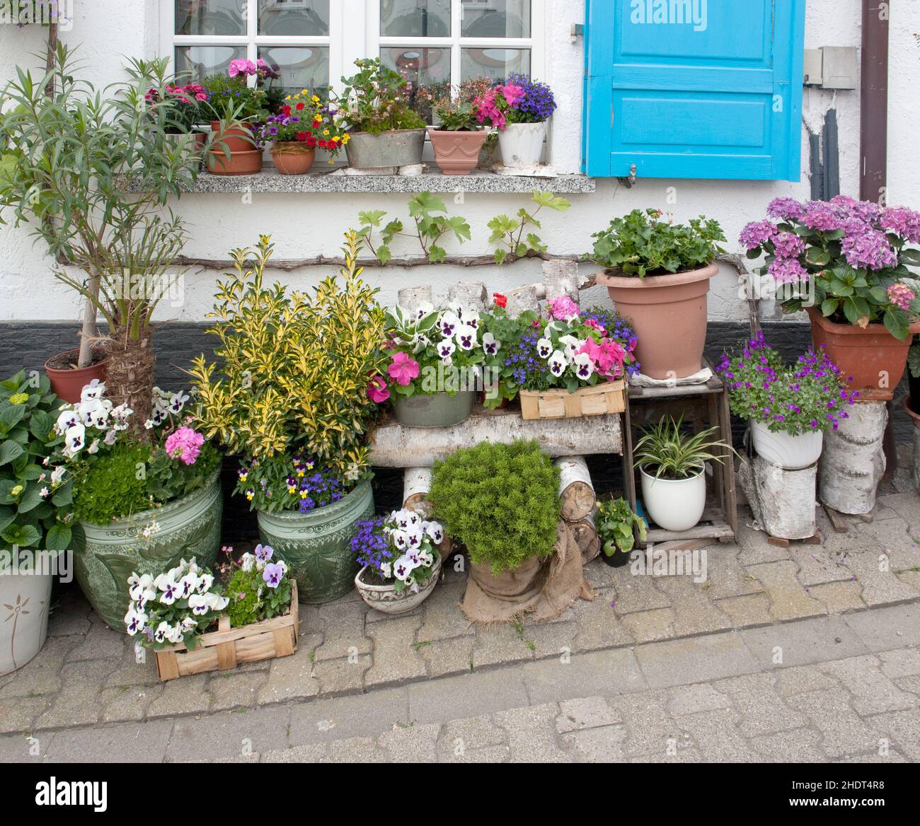 flower arrangement, facade, flower arrangements, facades Stock Photo ...