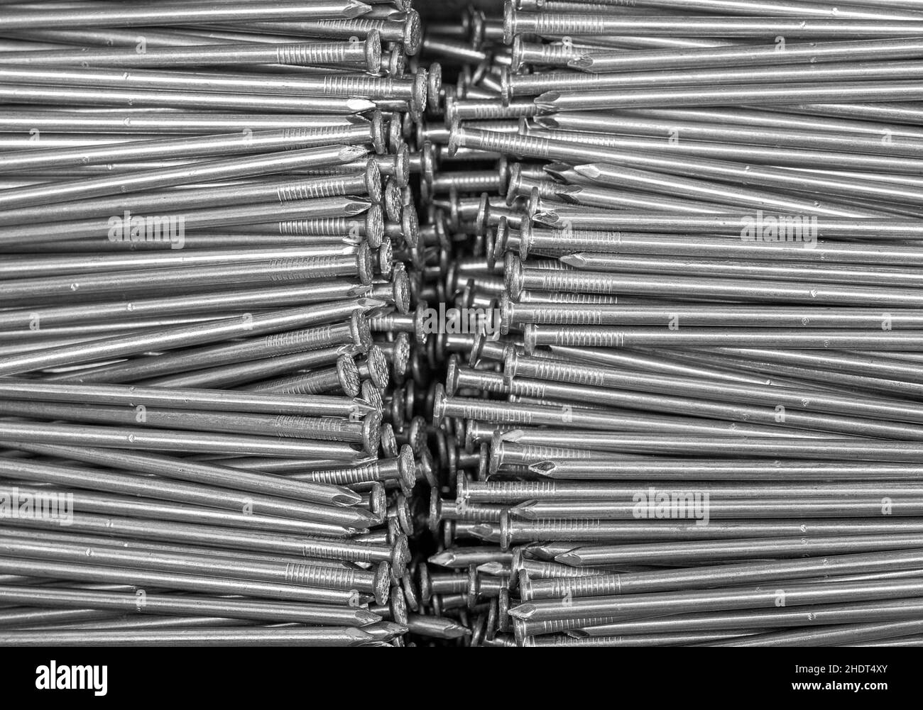 metal, nail, metals, homonym, nails Stock Photo - Alamy