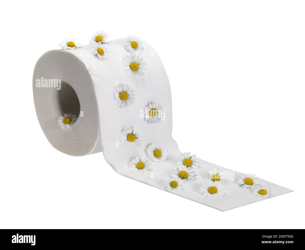 Paper daisy background Cut Out Stock Images & Pictures - Alamy