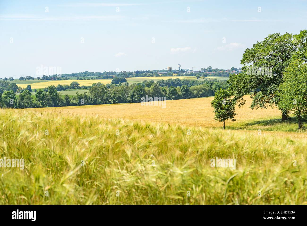 summer, fields, summers, field Stock Photo - Alamy