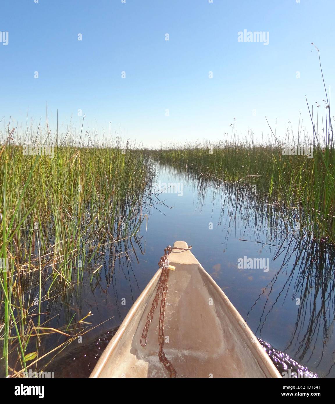 boating, Okavango Delta Stock Photo - Alamy