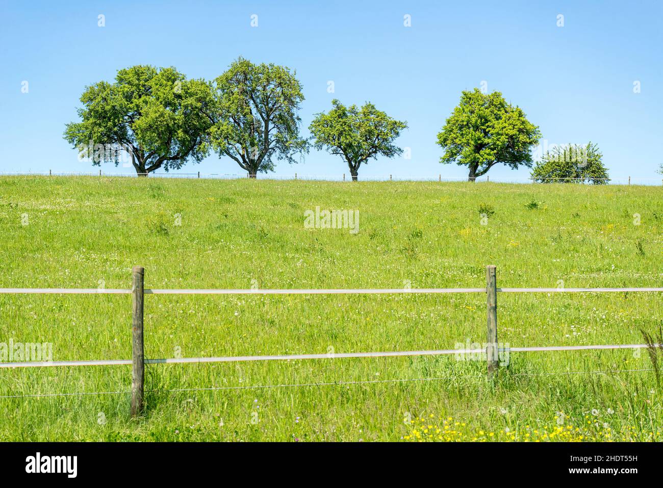pasture, fence, pastures, fences Stock Photo - Alamy