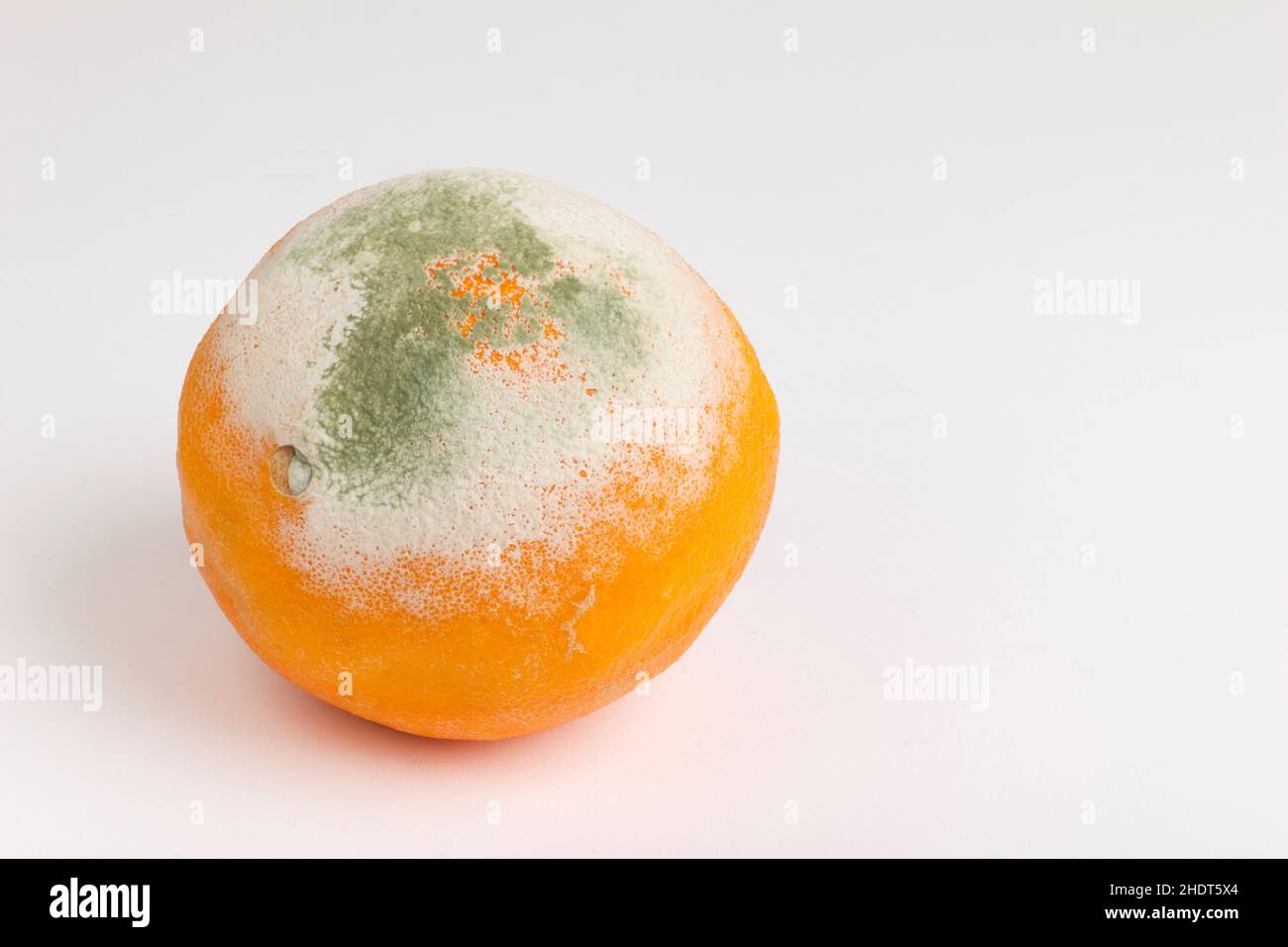 Moldies hi-res stock photography and images - Alamy